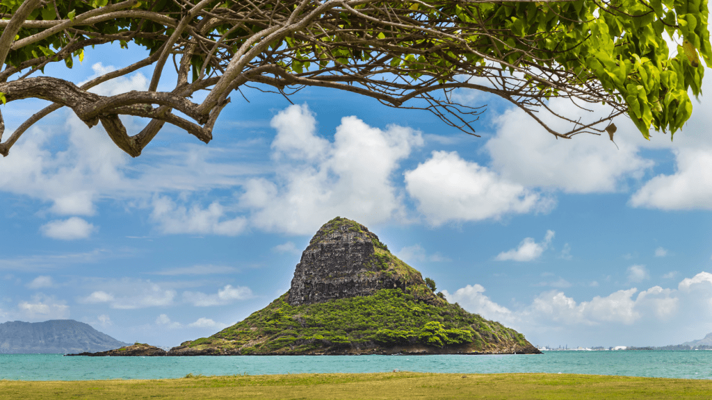 Discover Oahu's Top 5 Hidden Gems You Can’t Miss! | Hawaii Pacific Tours